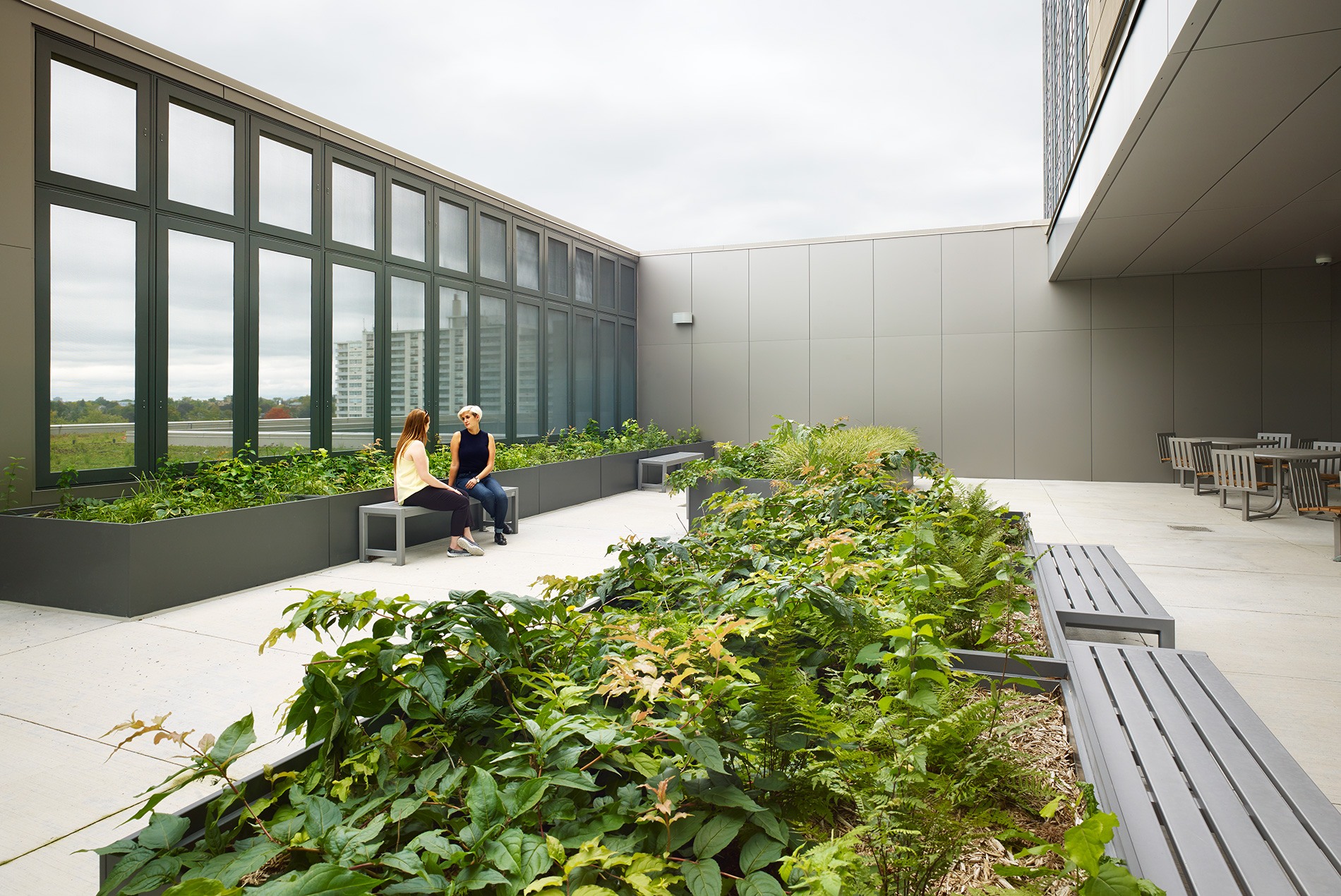 Humber River Hospital - HOK