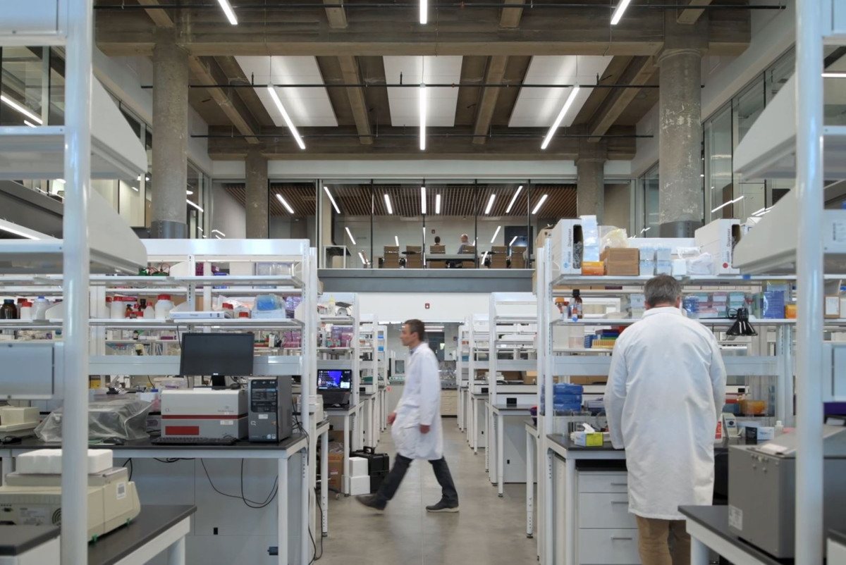 Cortex: Innovation's New Frontier - HOK