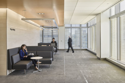 NYP's Healing Urban Oasis - HOK