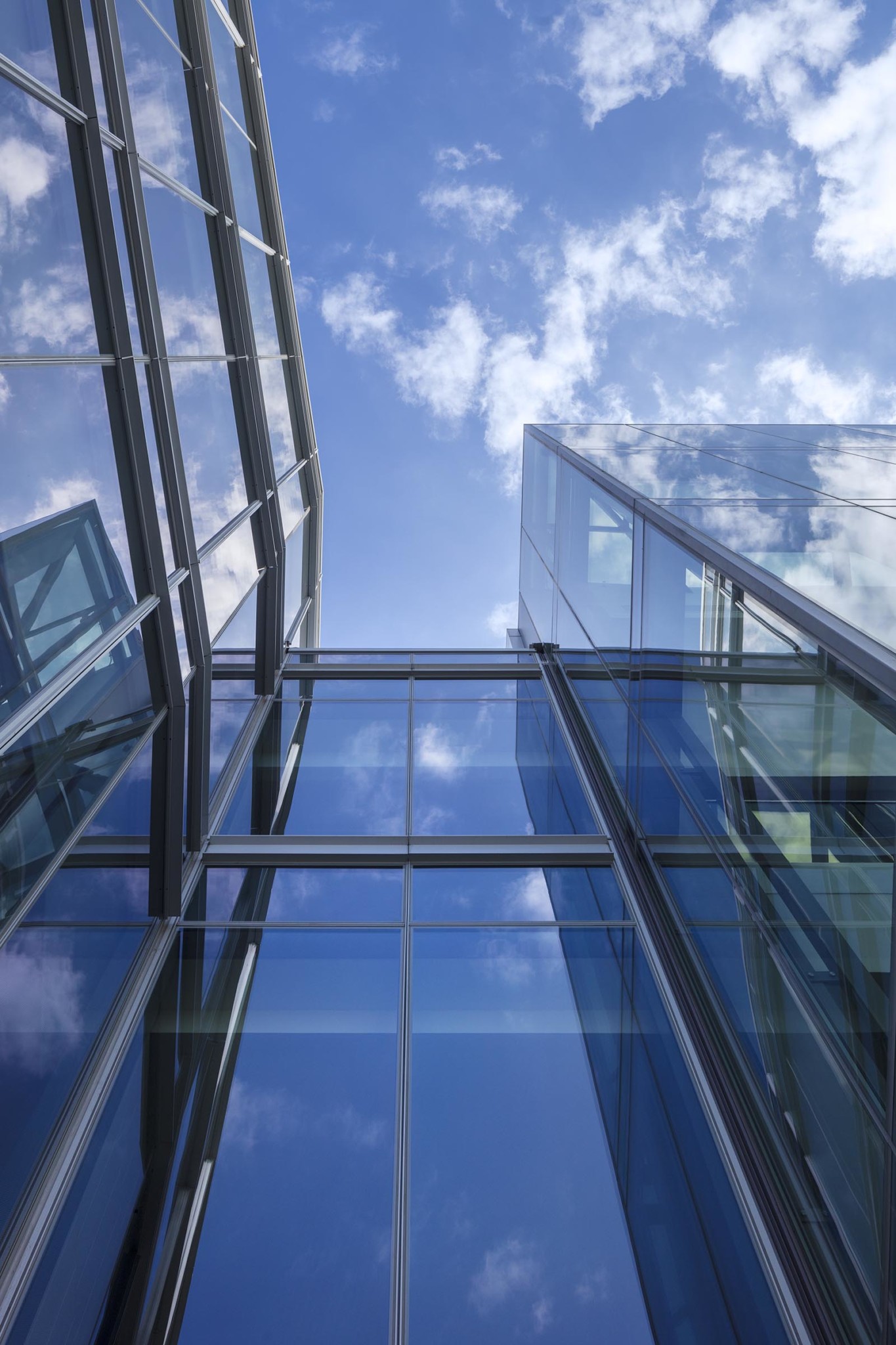 A Natural Fit for LG North America - HOK