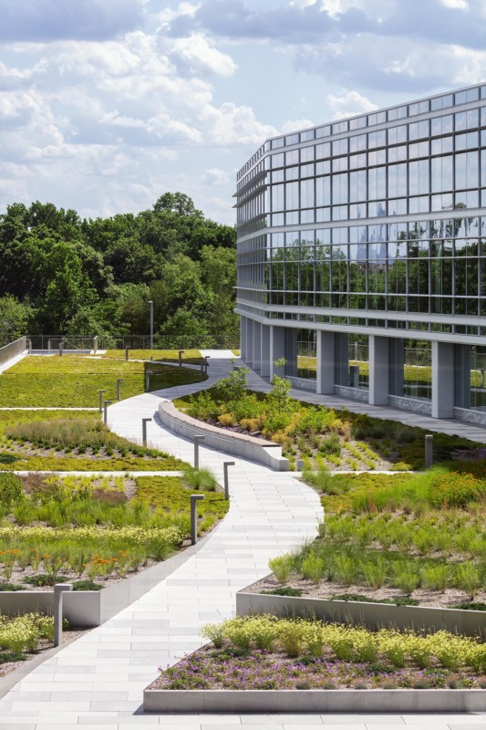 A Natural Fit for LG North America - HOK