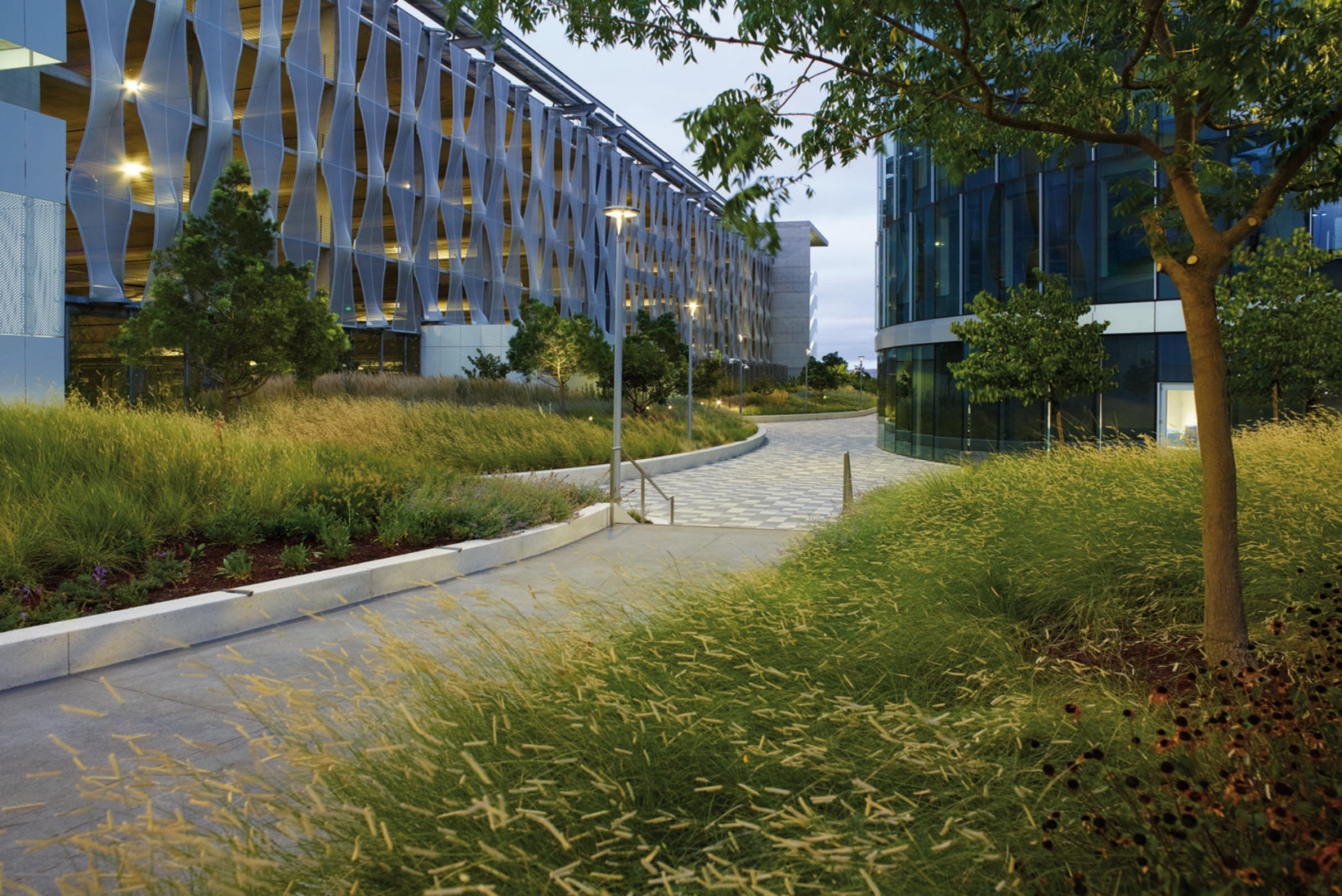 Workday Campus and Innovation Plaza - HOK