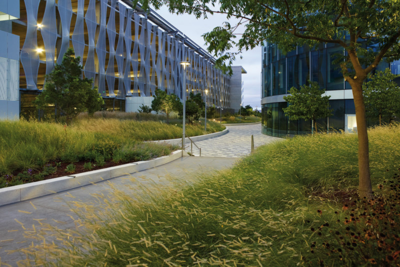 Workday Campus and Innovation Plaza - HOK