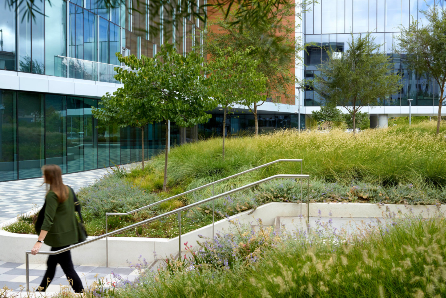 Workday Campus and Innovation Plaza - HOK