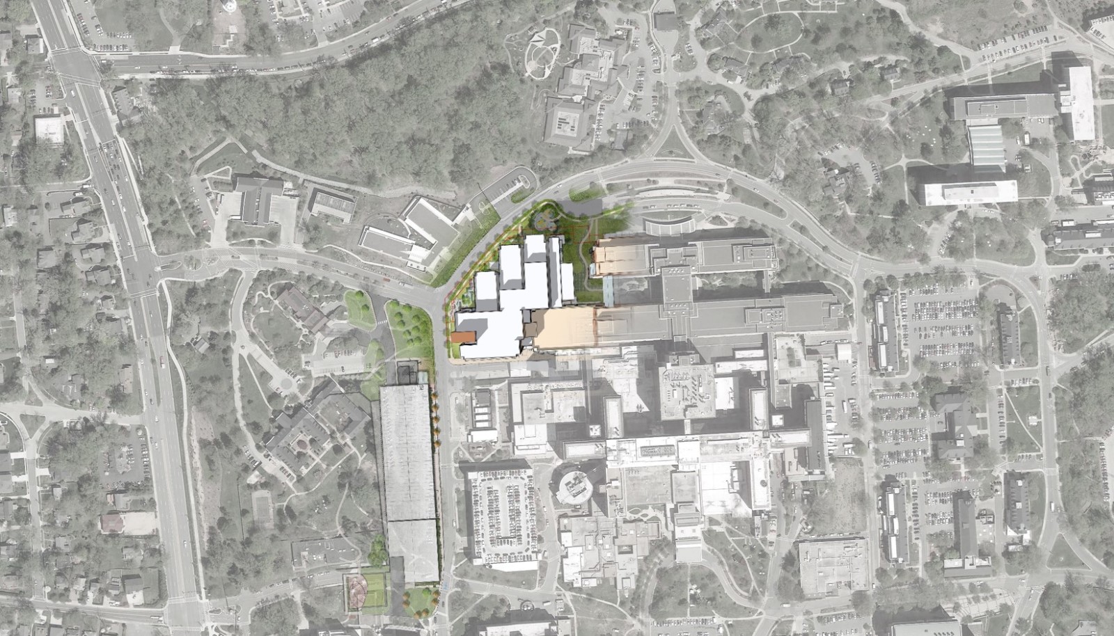 National Institutes of Health Surgery, Radiology and Lab Medicine ...