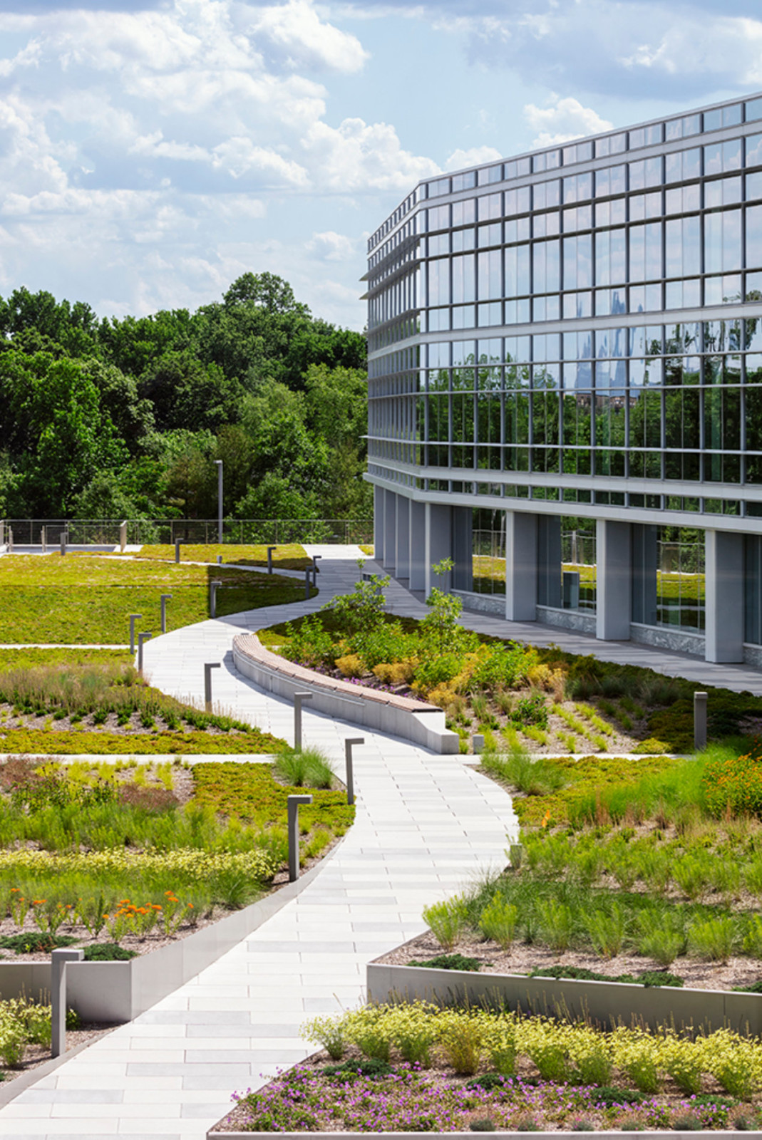 LG North American Headquarters - HOK