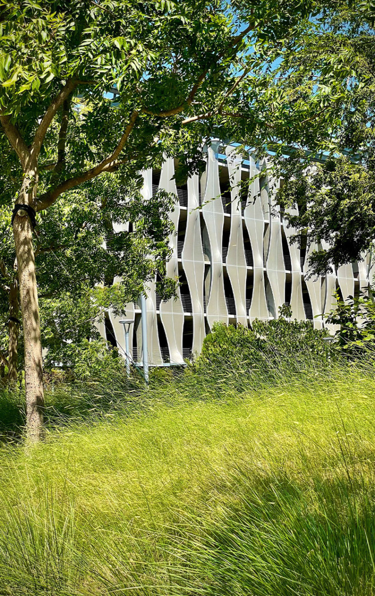 Workday Campus and Innovation Plaza - HOK