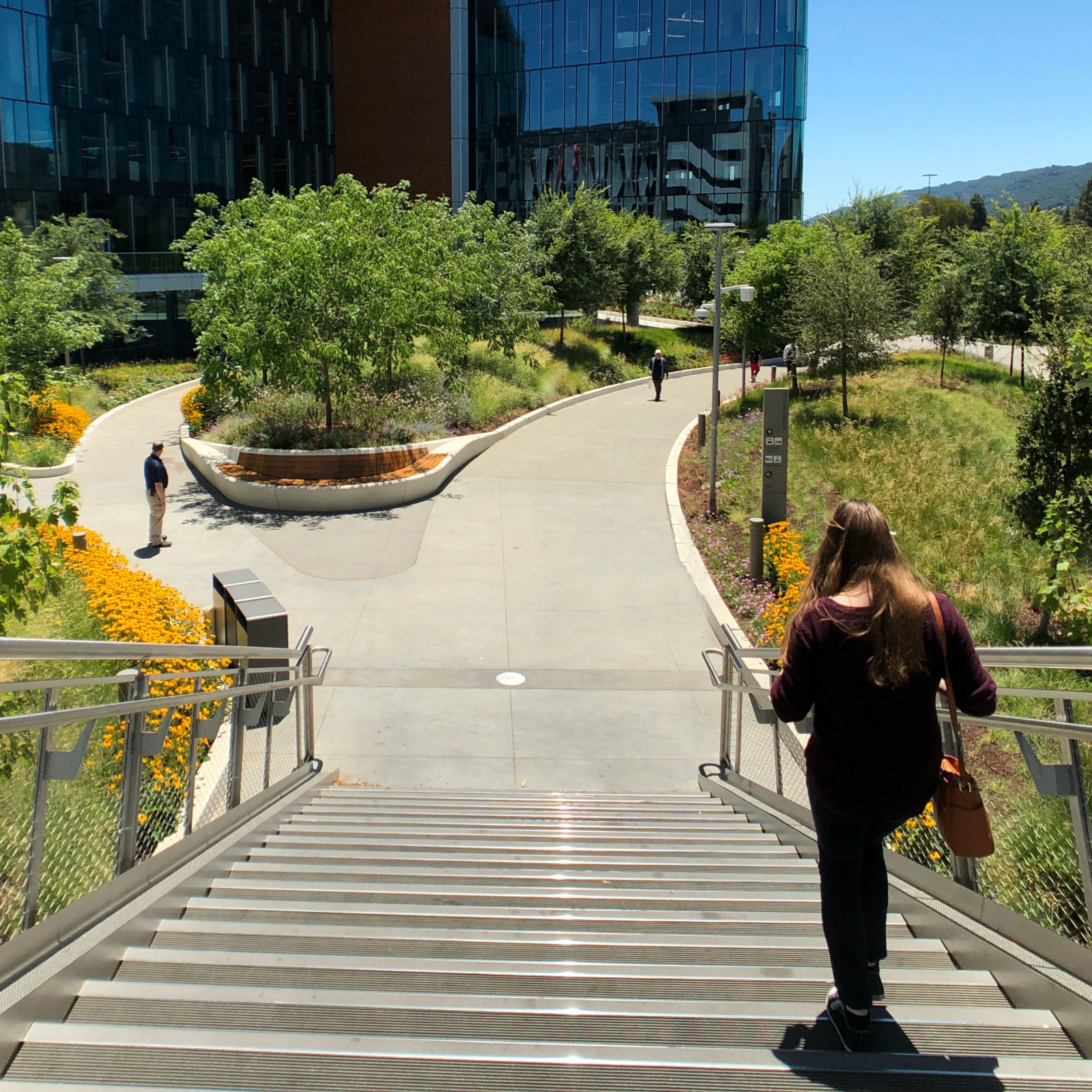 Workday Campus and Innovation Plaza - HOK