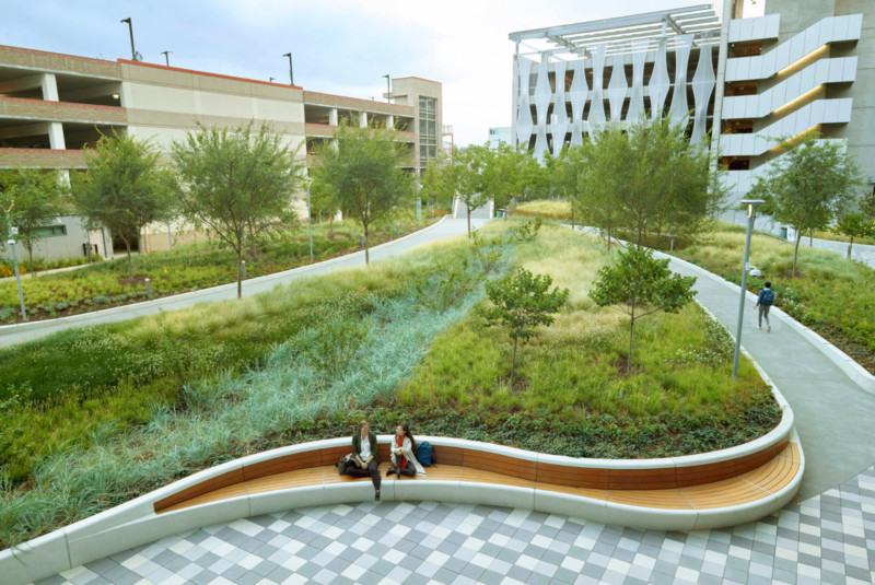 Workday Campus and Innovation Plaza - HOK