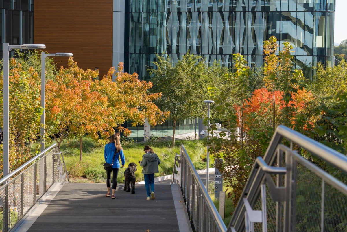 Workday Campus and Innovation Plaza - HOK
