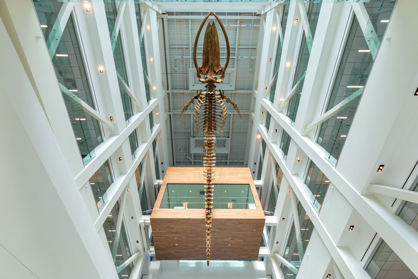 Memorial University of Newfoundland Core Science Facility - HOK