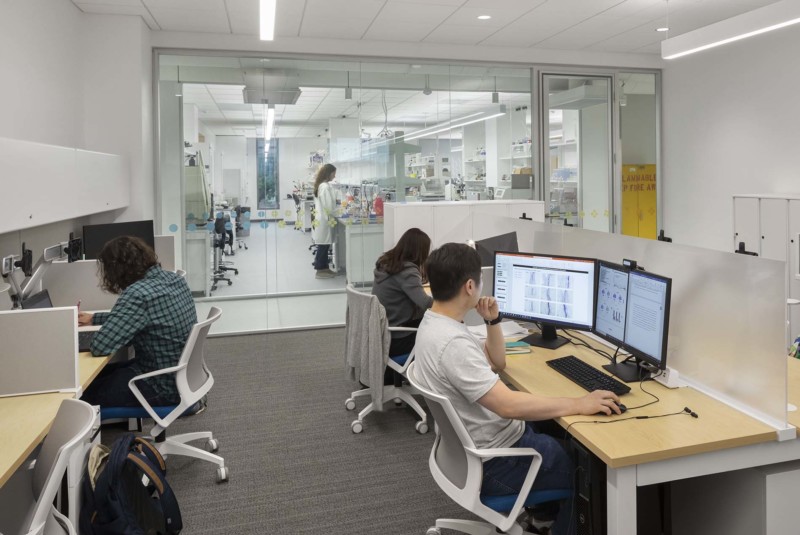 Penn State University Animal, Veterinary and Biomedical Sciences ...