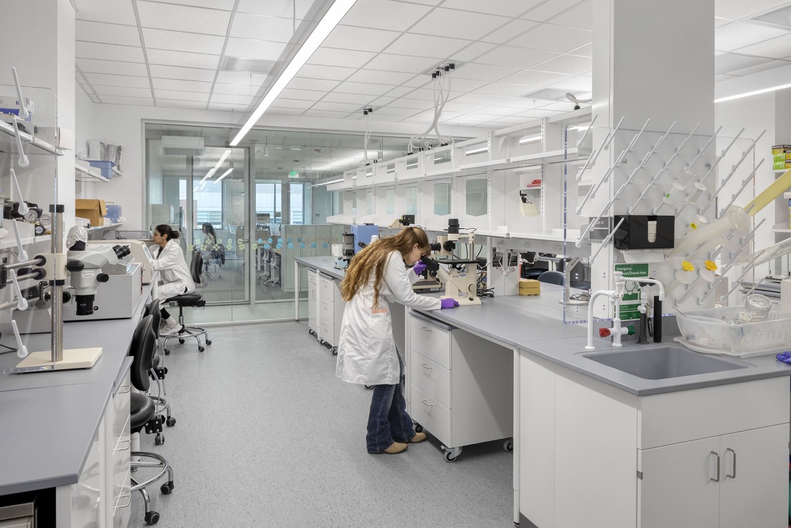 Penn State University Animal, Veterinary and Biomedical Sciences ...