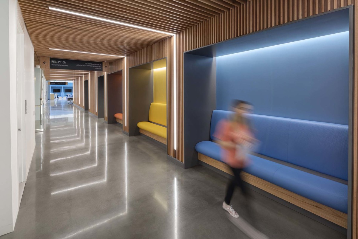 Penn State University Animal, Veterinary and Biomedical Sciences ...