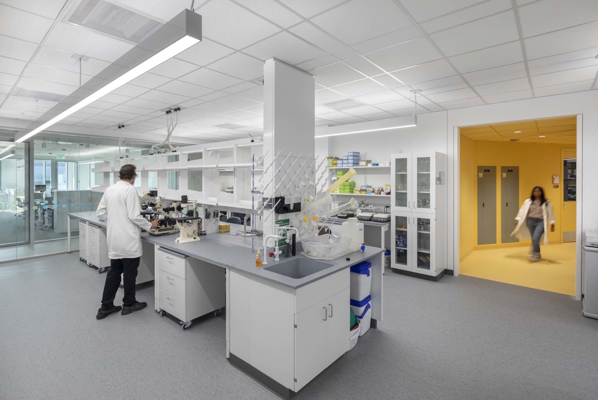 Penn State University Animal, Veterinary and Biomedical Sciences ...