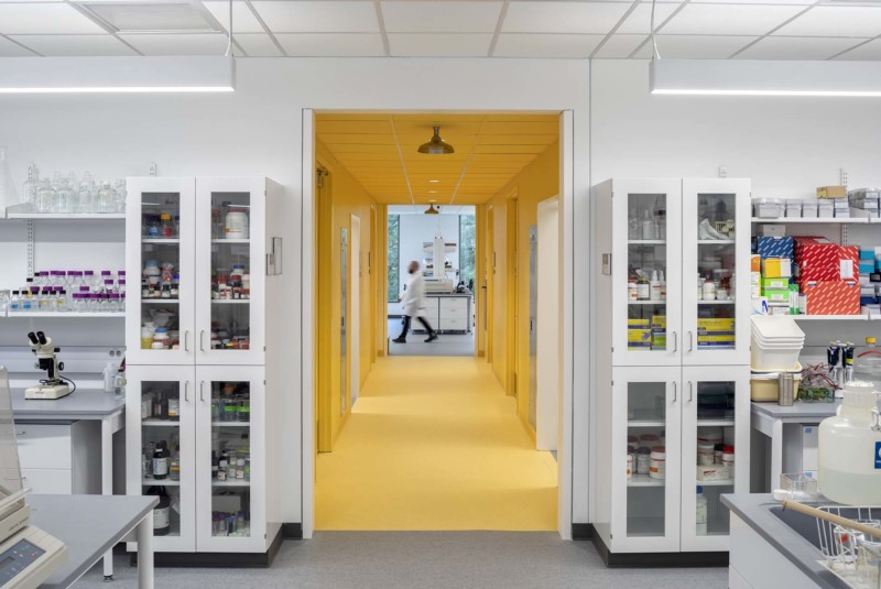 Penn State University Animal, Veterinary and Biomedical Sciences ...