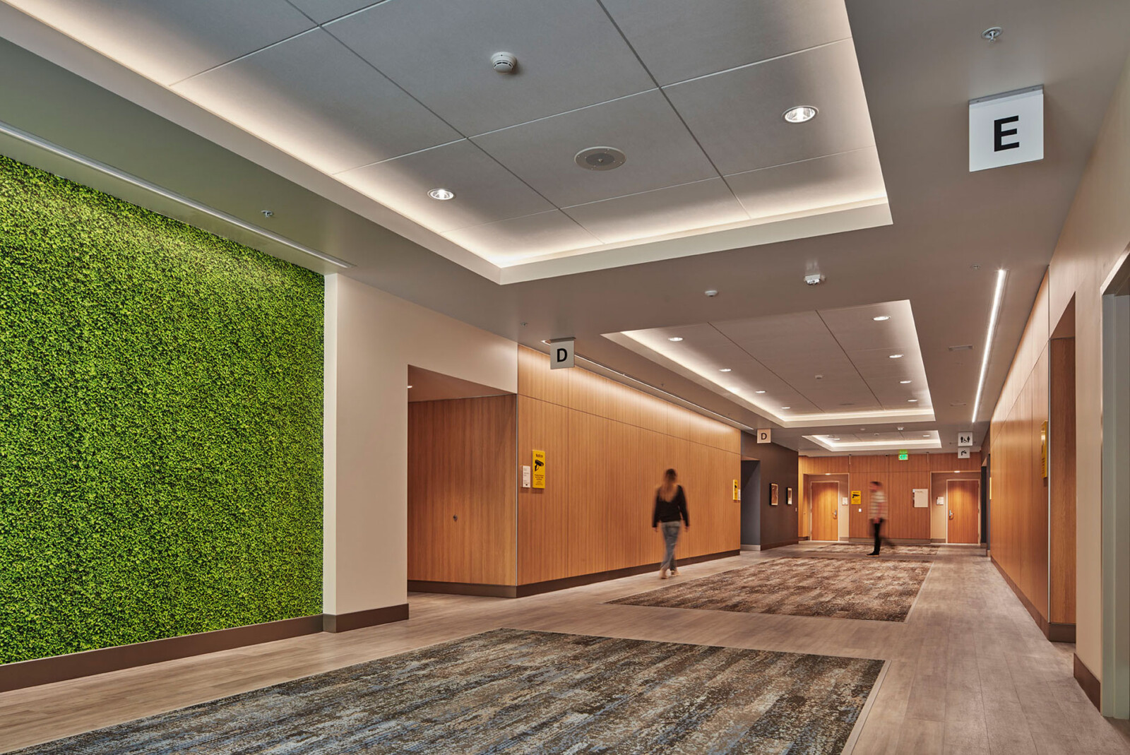 Behavioral Health Design in 2025: Where We Are, Where We’re Headed - HOK