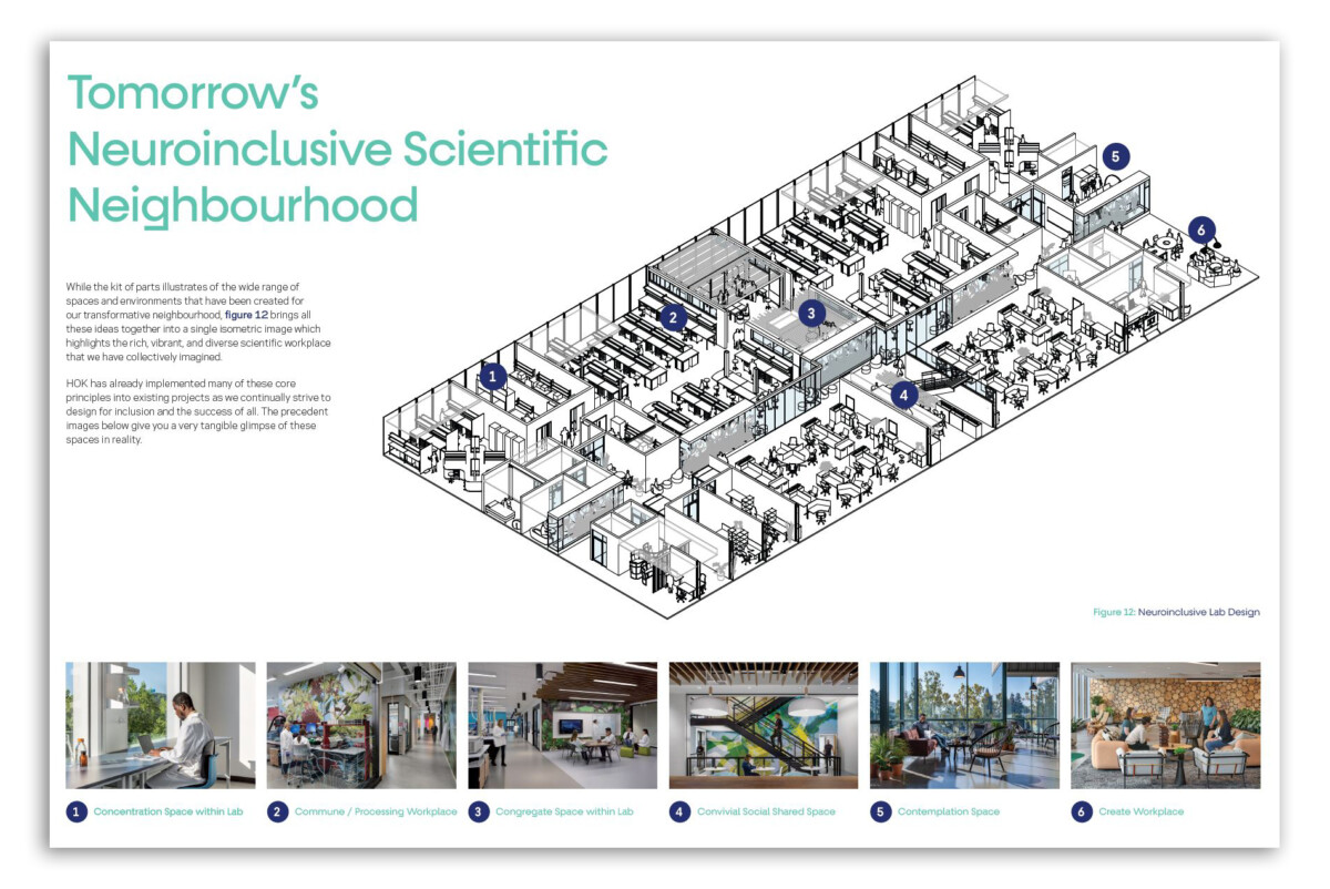 "HOK Puts Forth Blueprint for More Inclusive Lab Design" - Fast Company ...